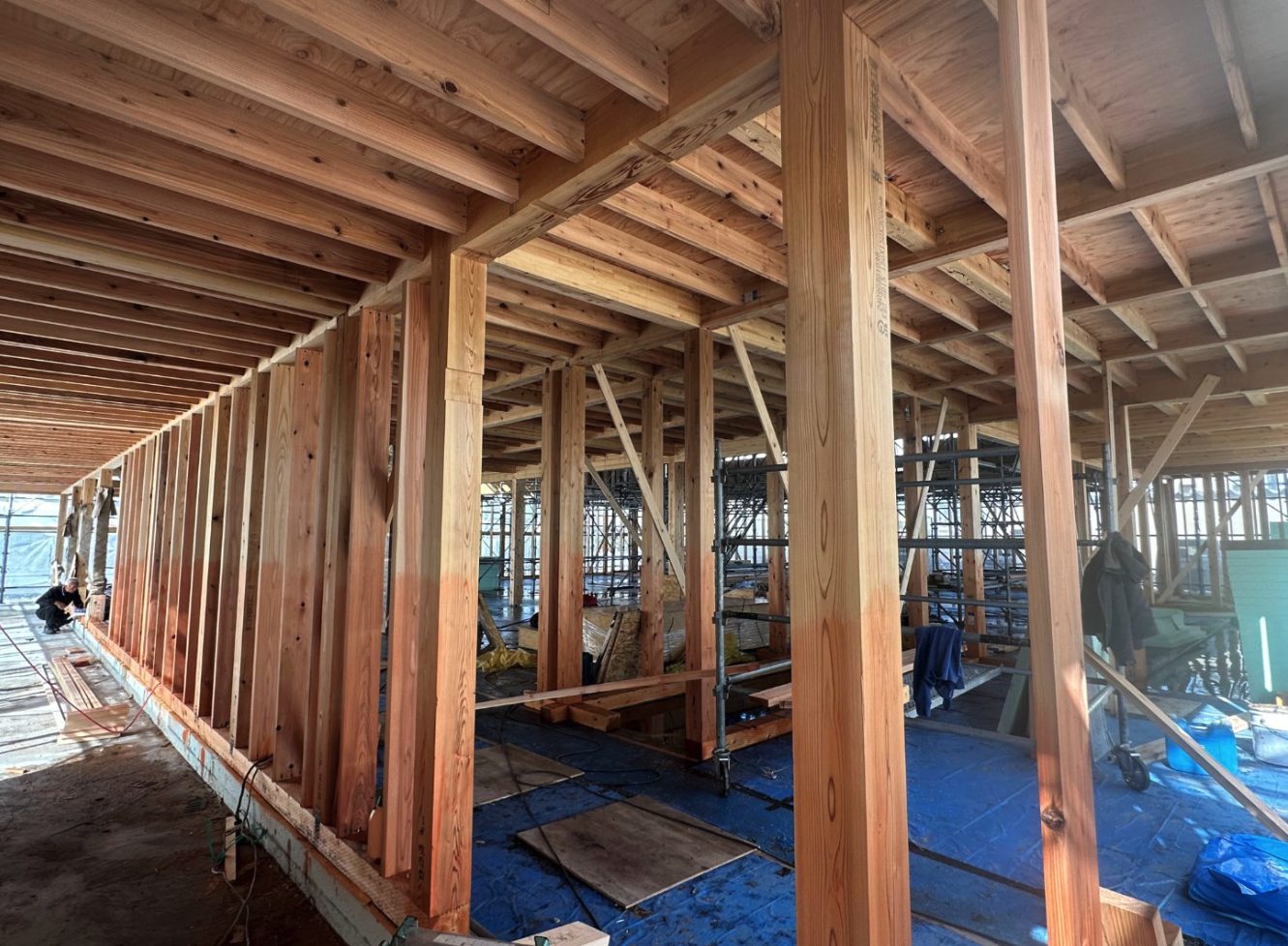 製材所の生き残りをかけたJAS製材の可能性 ウッドレポート - eTREE